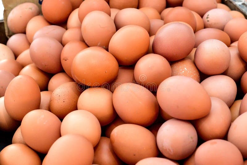 Chicken eggs stock image. Image of blue, diet, animal - 59975991