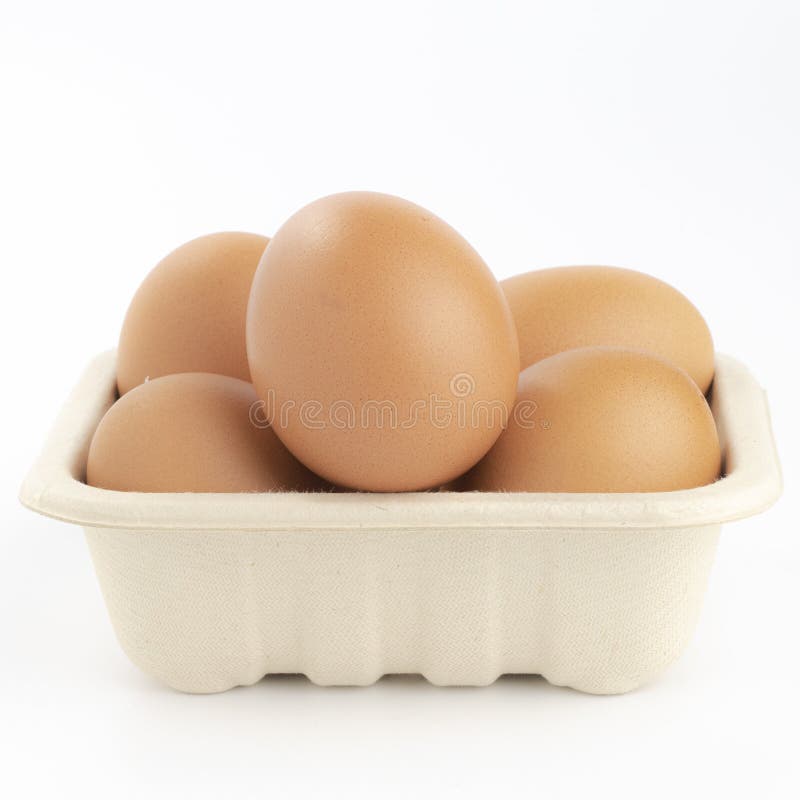 Packaged Eggs Display stock photo. Image of protection - 31330072