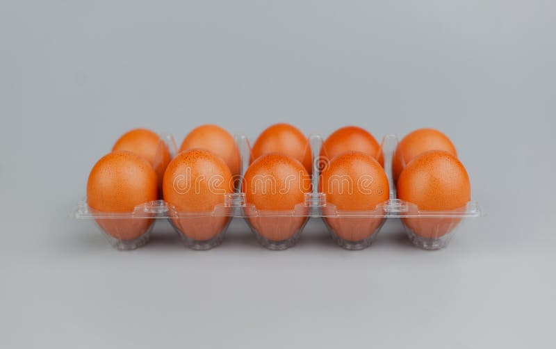 Chicken Eggs in Plastic Egg Tray. High Protein Food. High Quality ...
