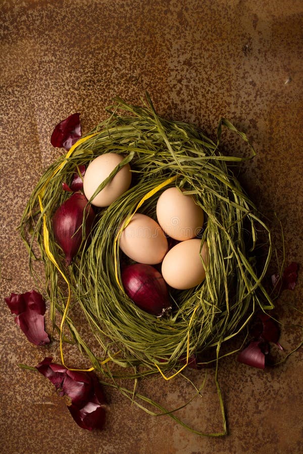 Chicken Eggs with Purple Onions in the Nest Stock Image - Image of ...