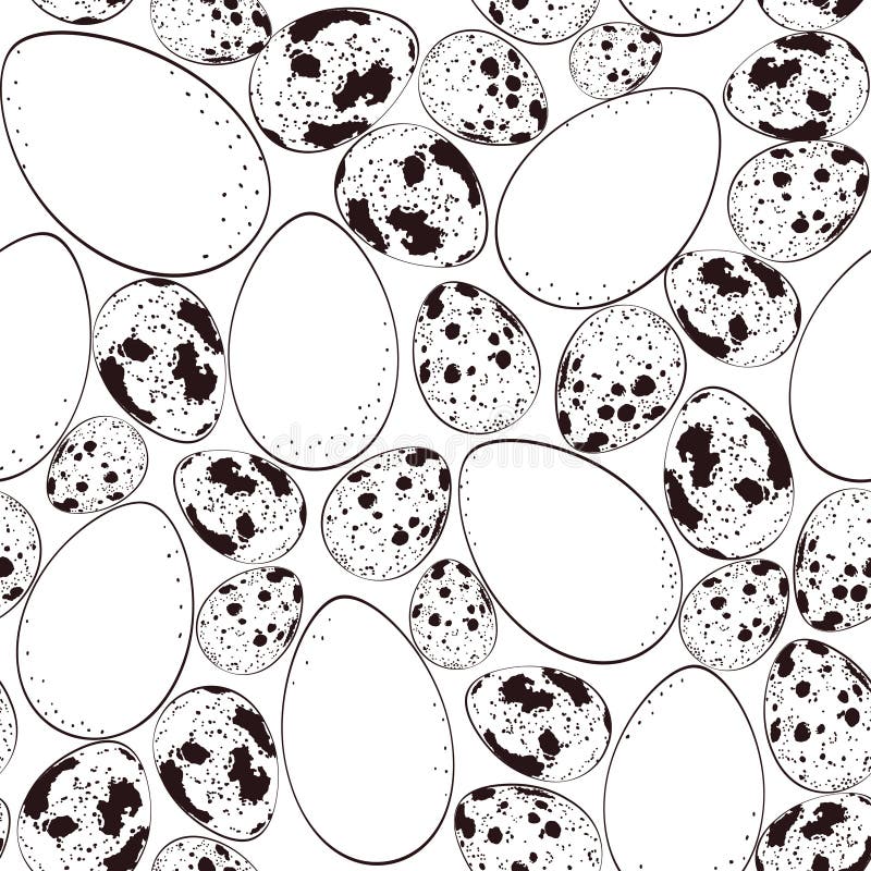 Realistic Quail Drawing Stock Illustrations – 141 Realistic Quail ...