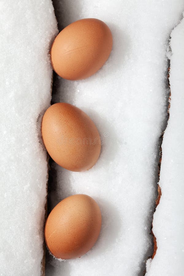 Chicken Eggs in the Snow. a Modern Composition about Village Life Stock ...