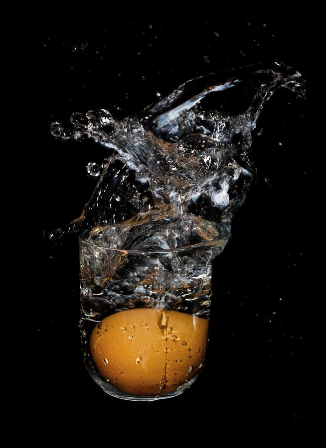 105 Black White Splash Chicken Stock Photos - Free & Royalty-Free Stock ...