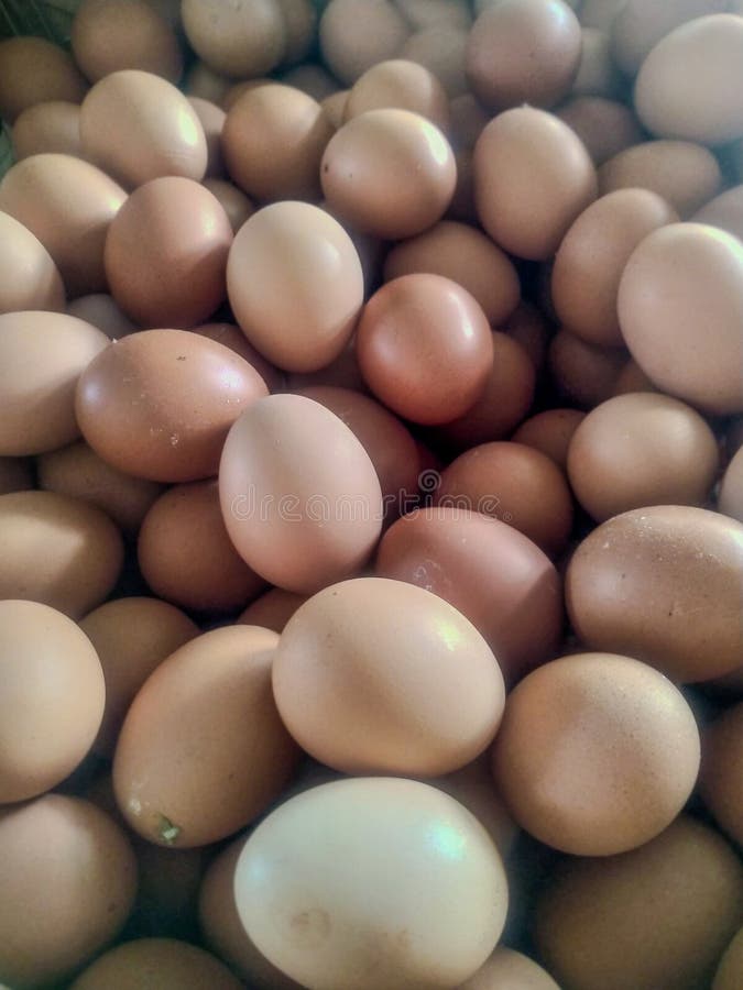 Chicken Eggs for a Variety of Nutritious Cooking Menus Stock Image ...