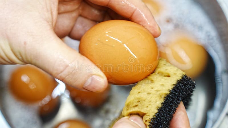 Chicken Eggs are Washed with Soapy Water and a Sponge. Stock Photo ...