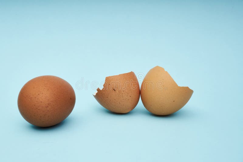 Chicken Eggs Whole and Parts. Half an Egg, Egg Yolk, Shell. Stock Image ...