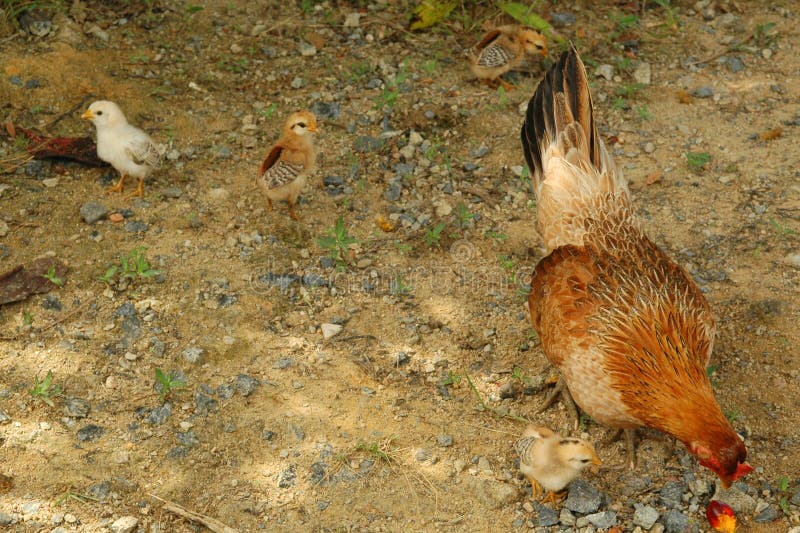 Family Picture. Image: 4632865