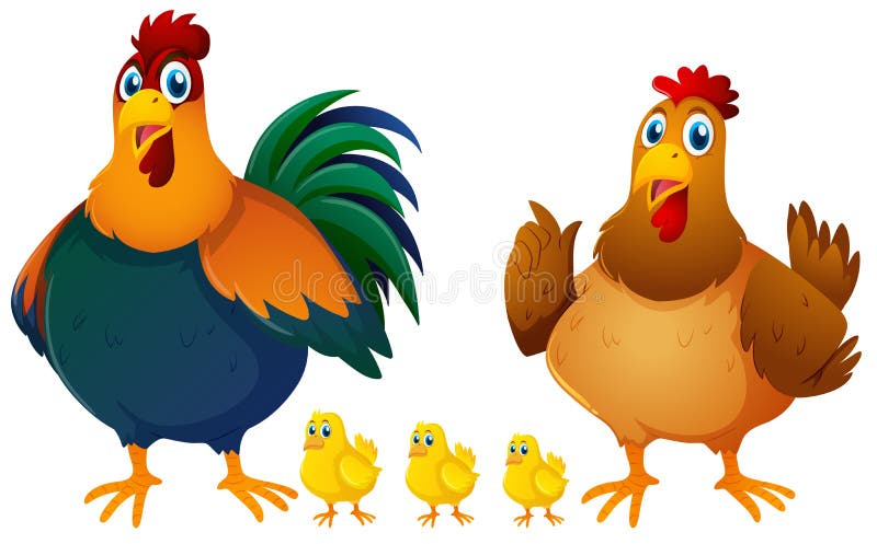 Chicken Family with Three Chicks Stock Vector - Illustration of chicken ...