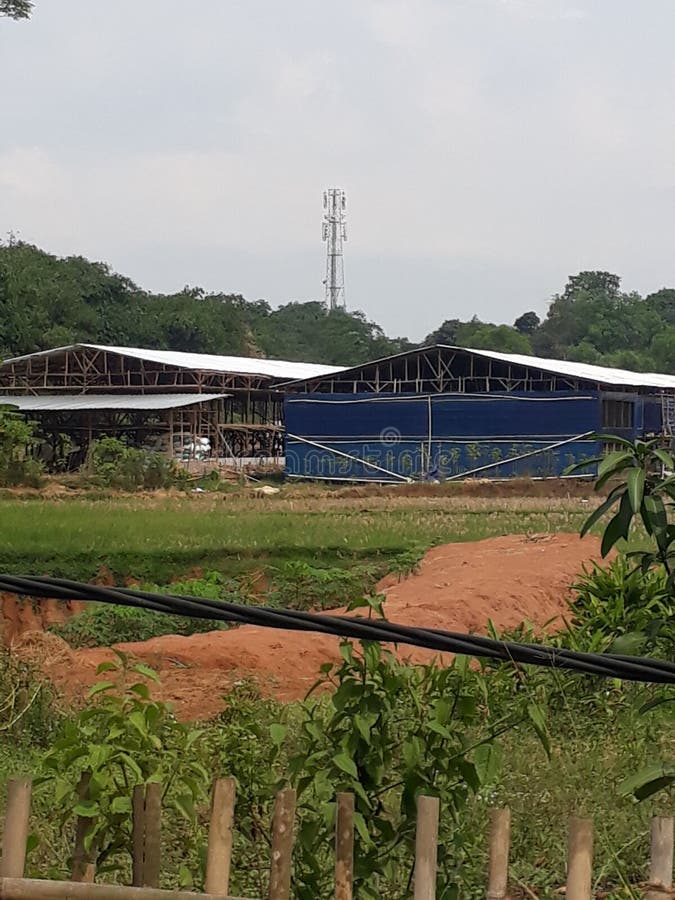 Chicken Farm. Bekasi, West Java, Indonesia Stock Image - Image of ...
