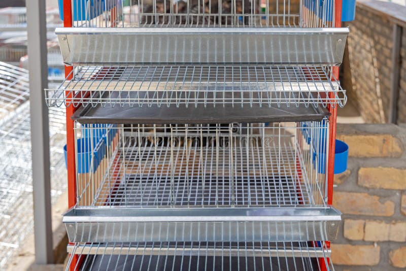 Chicken Farm Cages stock photo. Image of industry, empty - 231845940