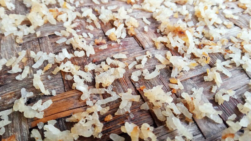 Chicken Feed Made from Dried Rice Stock Photo - Image of feed, drier ...