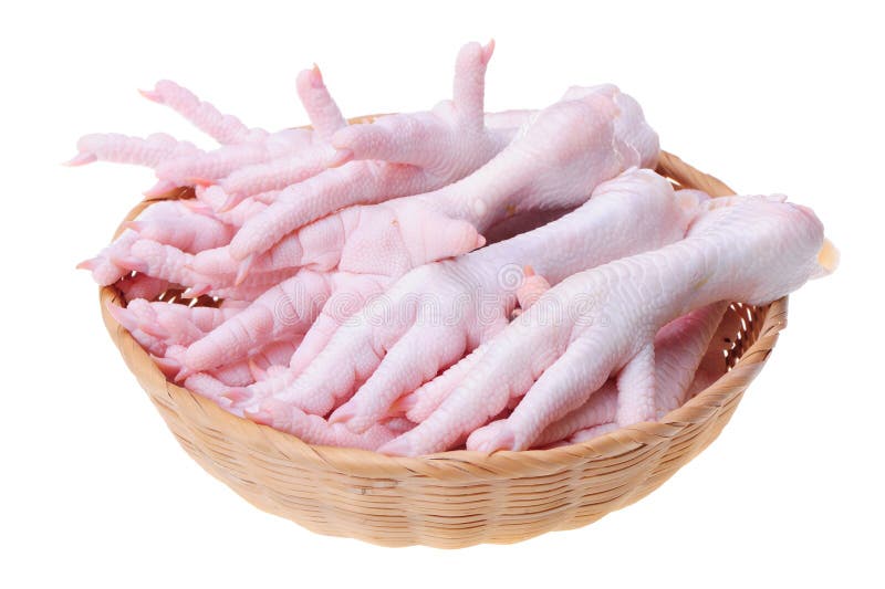 Chicken feet stock image. Image of bird, feet, food, white - 26604129