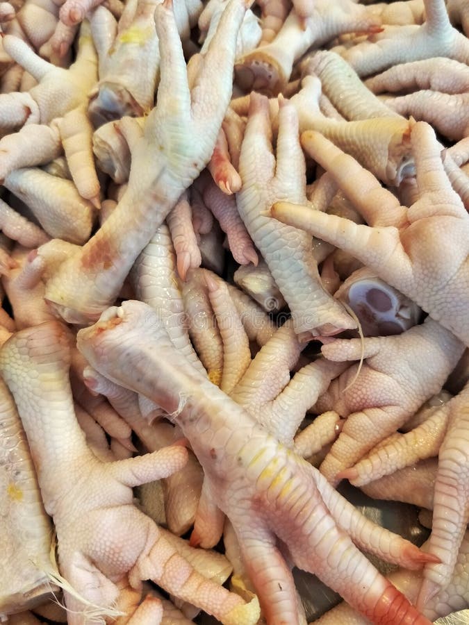 Chicken feet stock image. Image of diet, clean, protein - 110720865