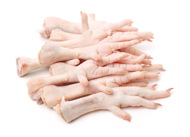 Chicken feet stock photo. Image of feet, meat, legs - 113110990