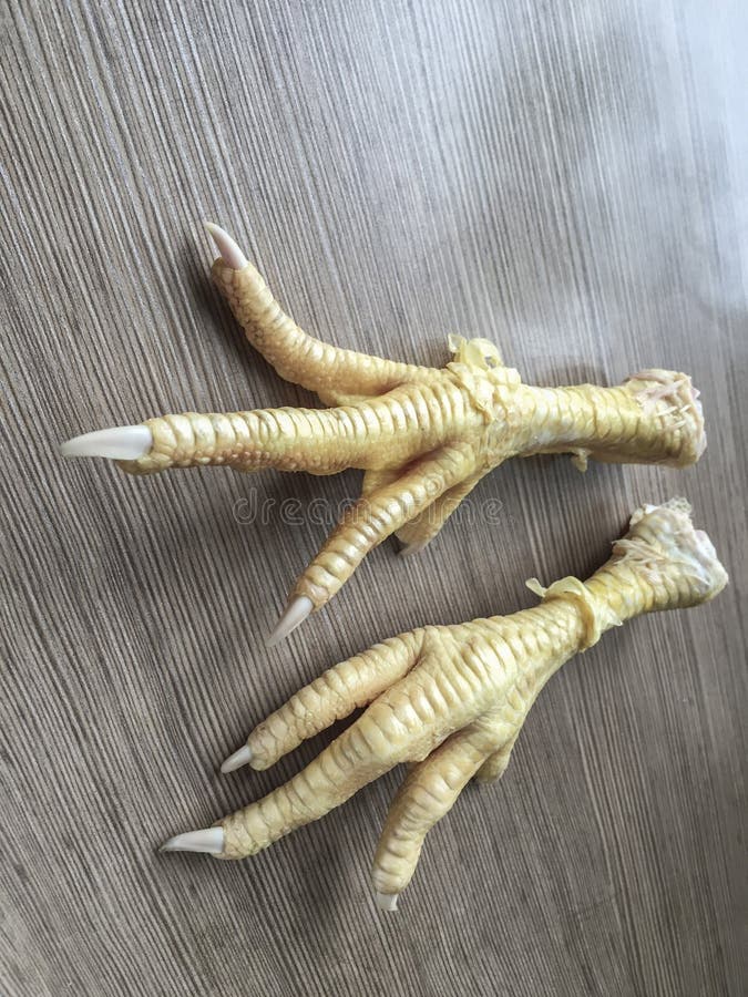 Chicken Feet in Order To Cook Stock Image - Image of animal, ingredient ...