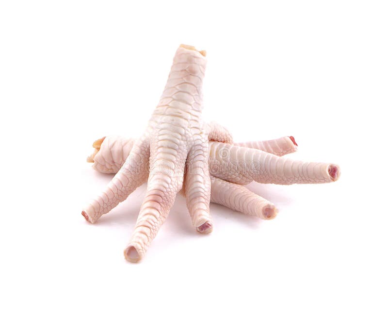 Chicken Feets an Isolated on White Background Stock Image - Image of ...