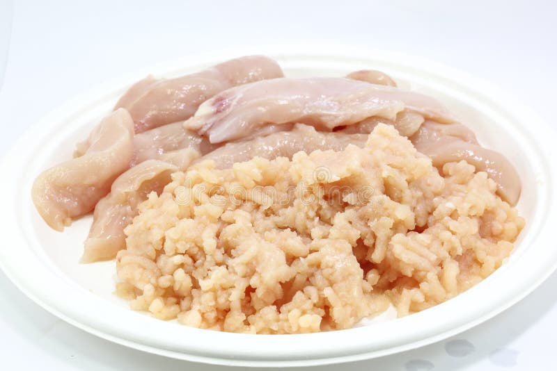 Chicken Fillet and Minced Chicken Stock Image - Image of healthy ...
