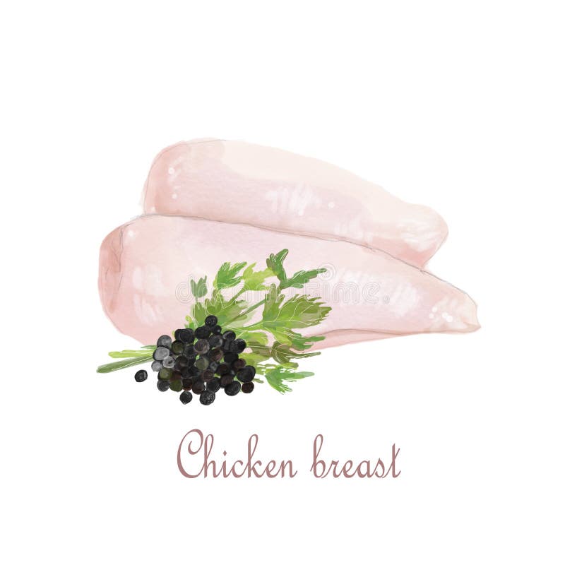 Chicken fillet stock illustration. Illustration of meat - 74500815