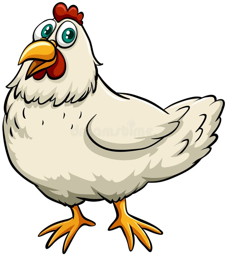 Chicken Flashcard Stock Illustrations – 116 Chicken Flashcard Stock ...