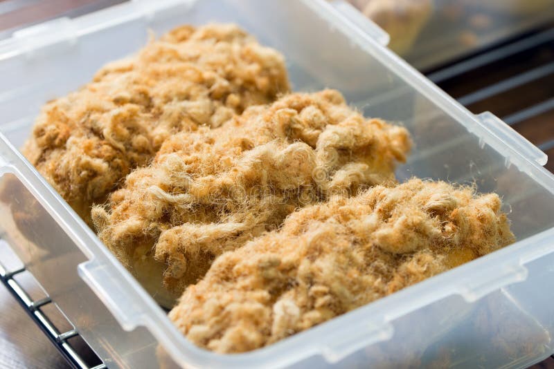 Chicken floss bun or bread stock image. Image of loaf - 106331825