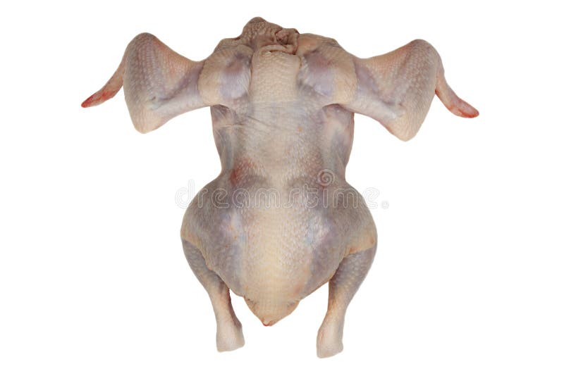 Chicken food stock image. Image of gourmet, freshness - 12802235
