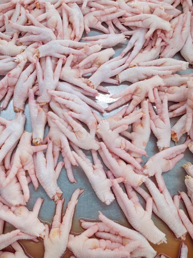 Chicken foot stock image. Image of health, food, nutrition - 52121037