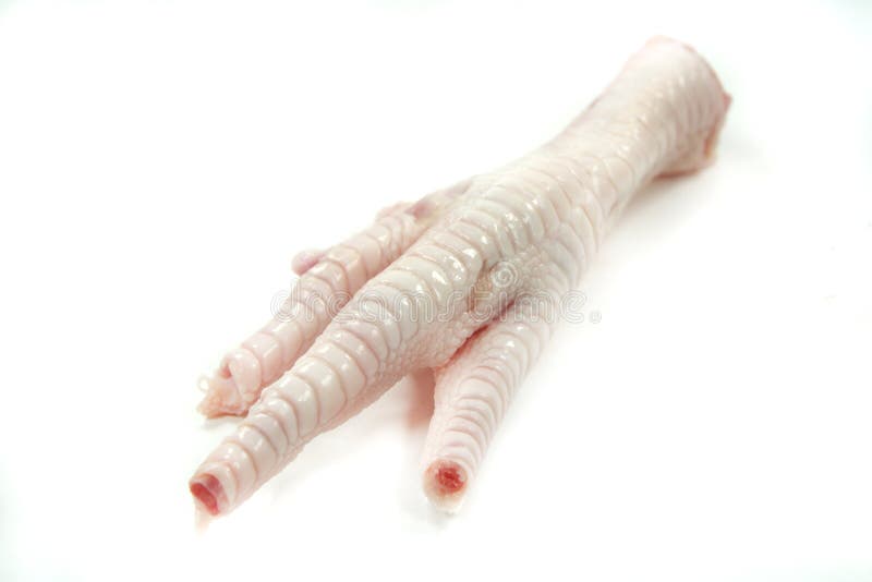Chicken Foot Standing on Cutting Board Stock Image - Image of standing ...