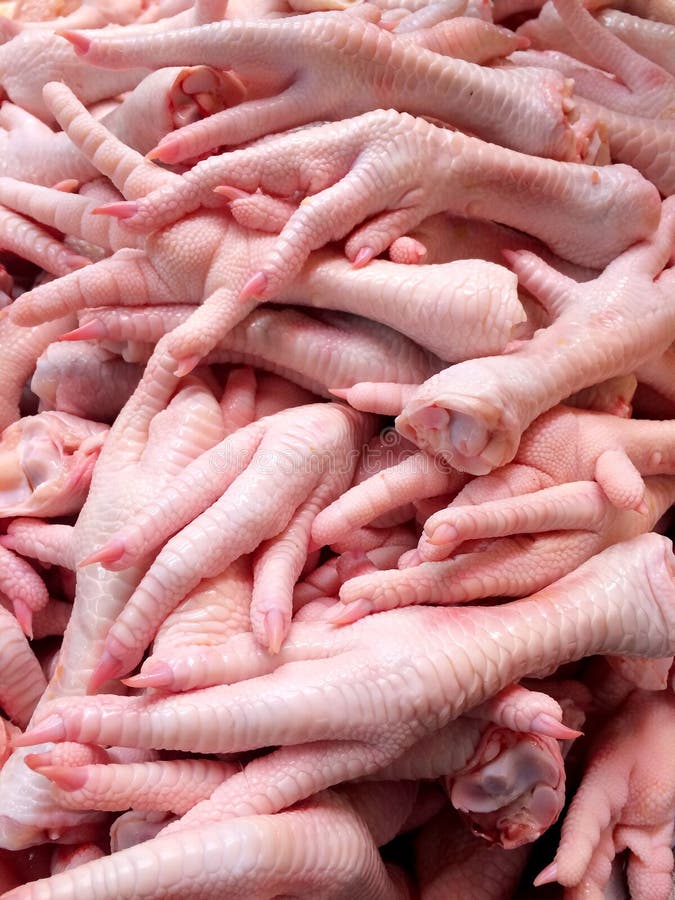 Chicken foot stock image. Image of feet, background - 205318007
