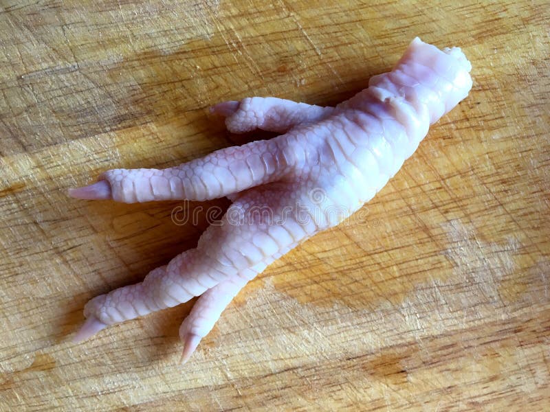 Chicken Foot for Various Magical Rituals and Divination. Candles are ...