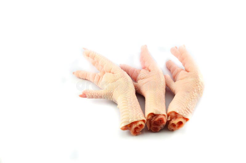 Chicken Foot Standing on Cutting Board Stock Image - Image of standing ...