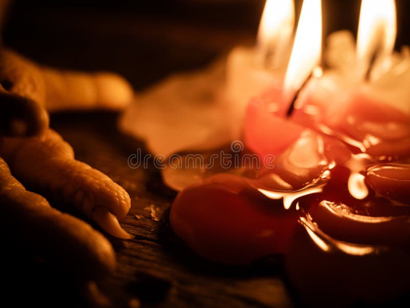 Chicken Foot for Various Magical Rituals and Divination. the Melted ...