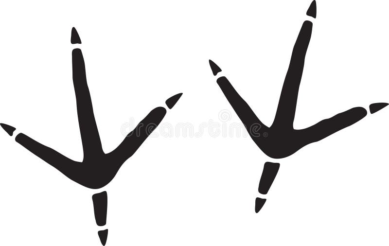 Chicken Footprints (Track). Black and White Stock Vector - Illustration of rural, bird: 294140353