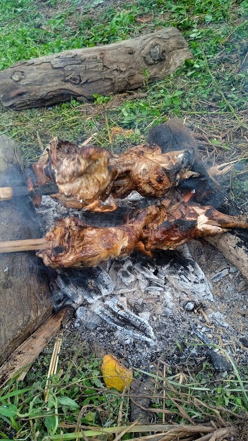 Chicken Grilled Over Coals , in the Rice Field Stock Photo - Image of ...
