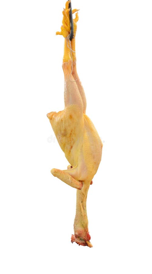 Hanging Dead Chicken Stock Photos - Free & Royalty-Free Stock Photos ...
