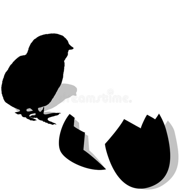 Chicken Hatching Silhouette Stock Illustrations – 101 Chicken Hatching ...