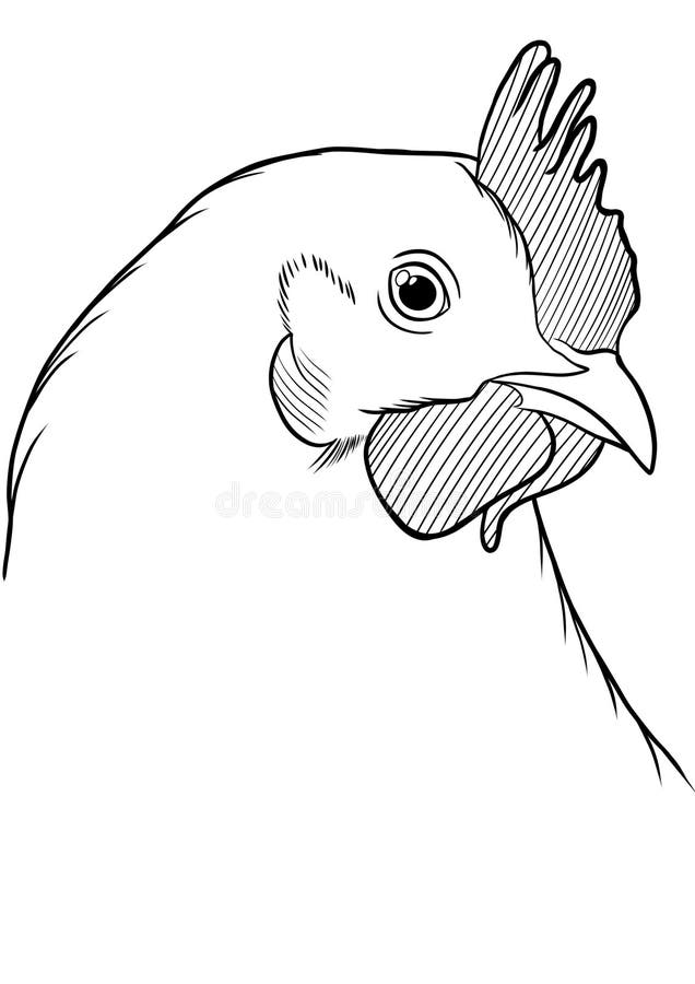 Chicken Head Line Monochrome Illustration Stock Illustration ...