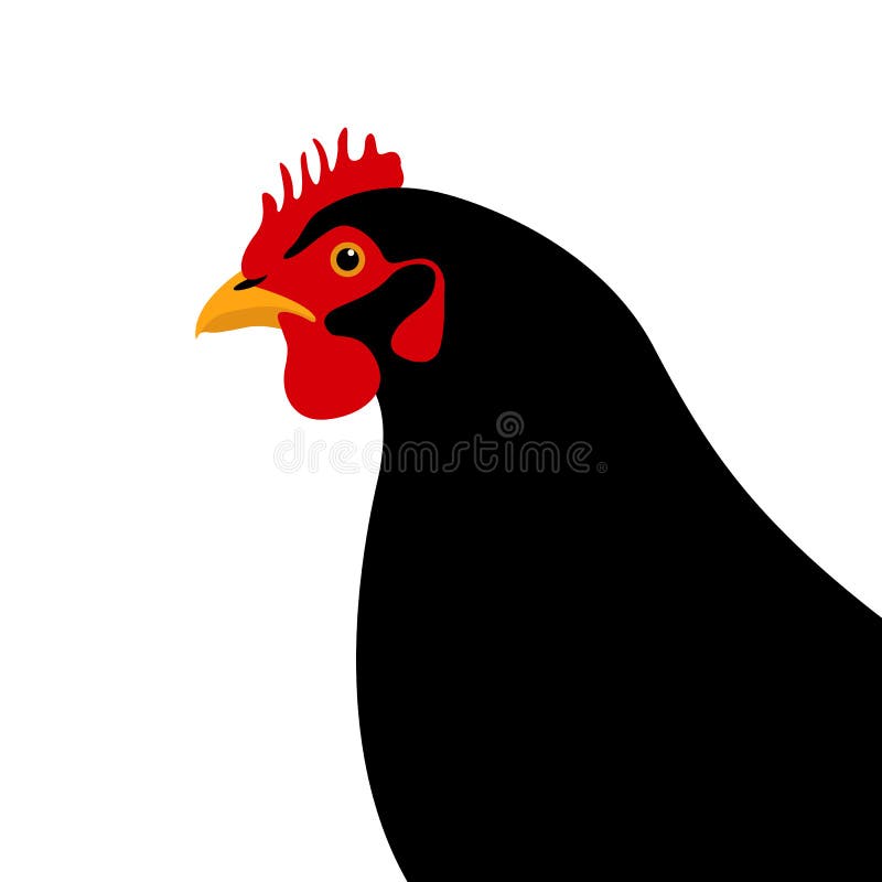 Chicken Head Vector Illustration Coloring Line Drawing Stock Vector ...