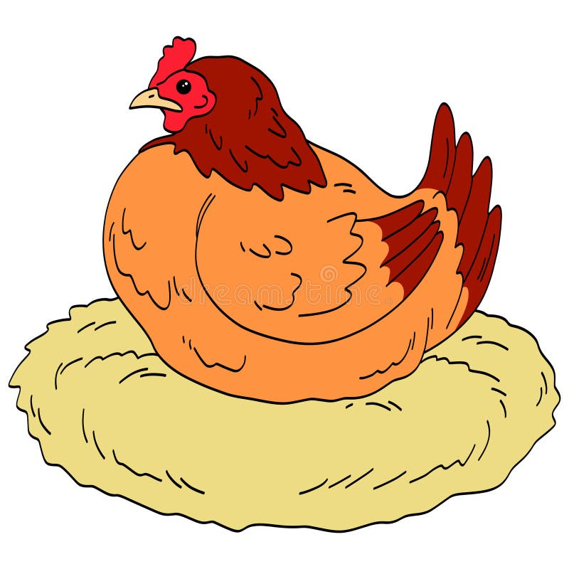 Chicken Hen in Nest Drawing Vector Cartoon Illustration Stock Vector ...