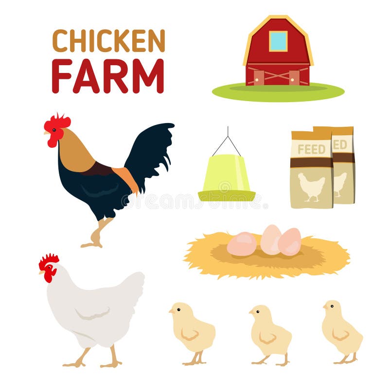 Chicken Feed Stock Illustrations – 2,970 Chicken Feed Stock ...