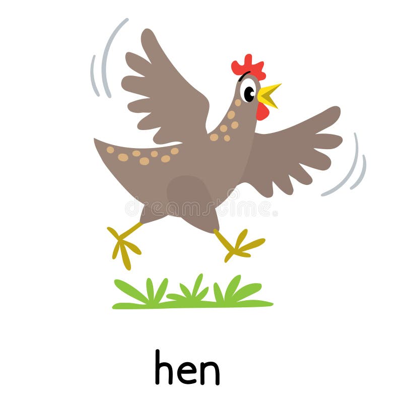 Chicken or Hen Vector Illustration. Farm Animals Stock Vector ...