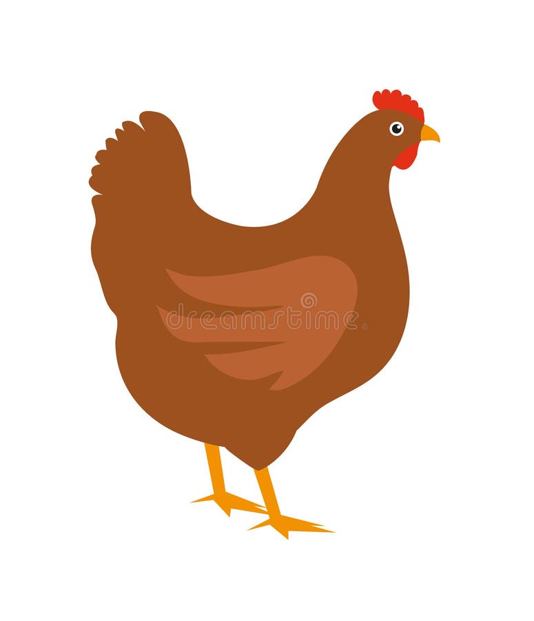 Chicken Icon, Flat Style. on White Background. Vector Illustration ...