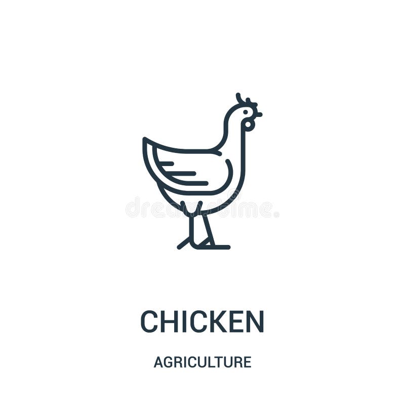 Chicken Icon Vector from Agriculture Collection. Thin Line Chicken ...