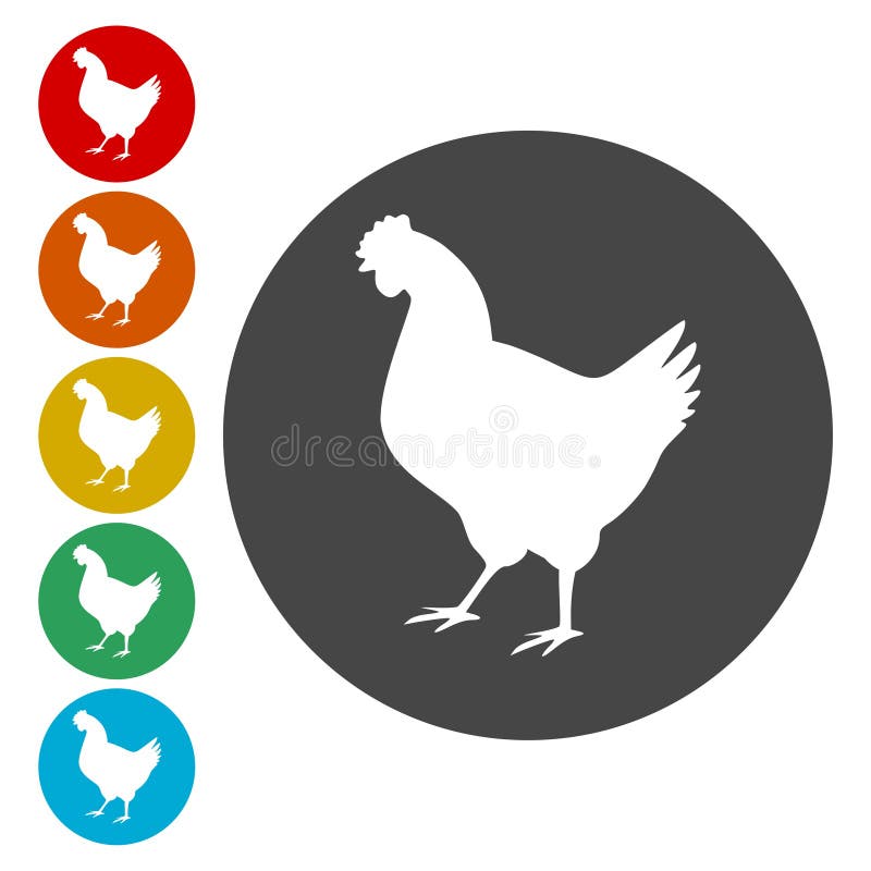 Chicken icons set stock vector. Illustration of black - 133567554