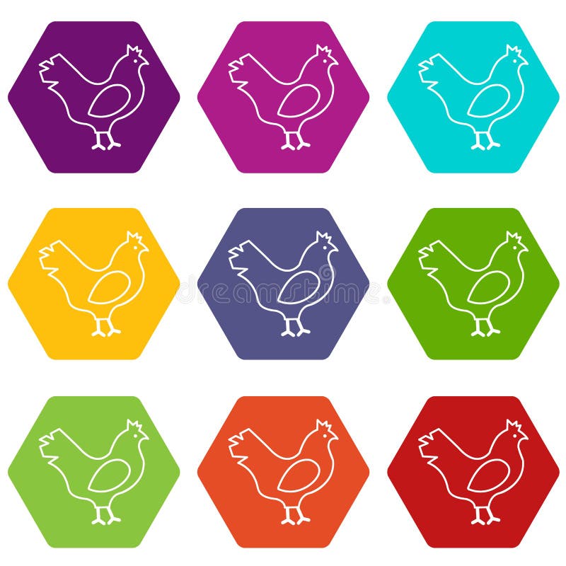 Chicken icons set 9 vector stock vector. Illustration of chiken - 117436507
