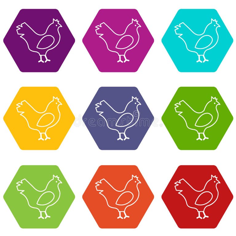 Chicken icons set 9 vector stock vector. Illustration of chiken - 117436507