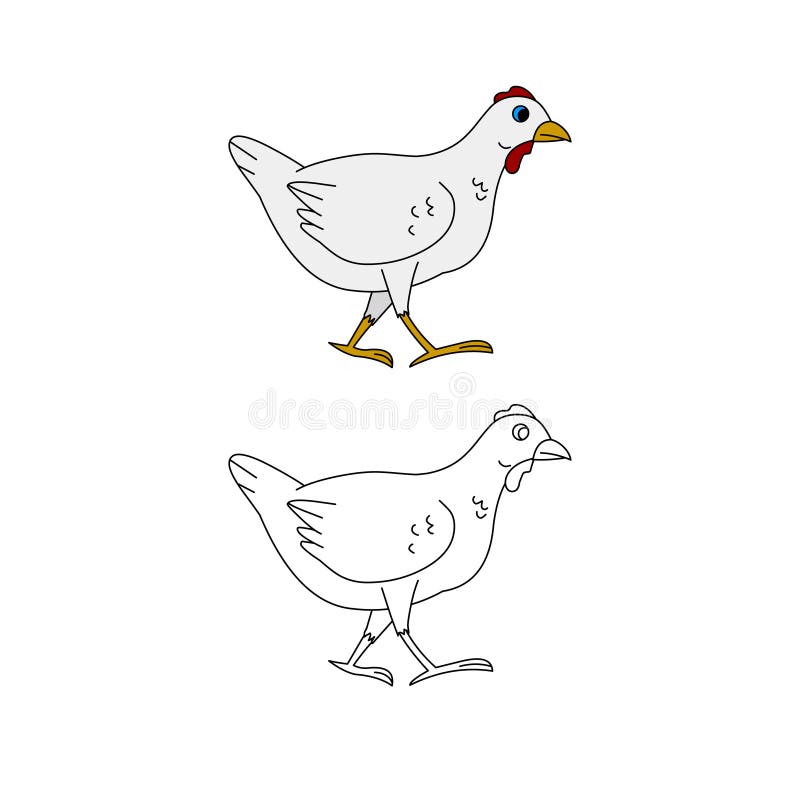 Chicken stock illustration. Illustration of outline, pets - 71518993
