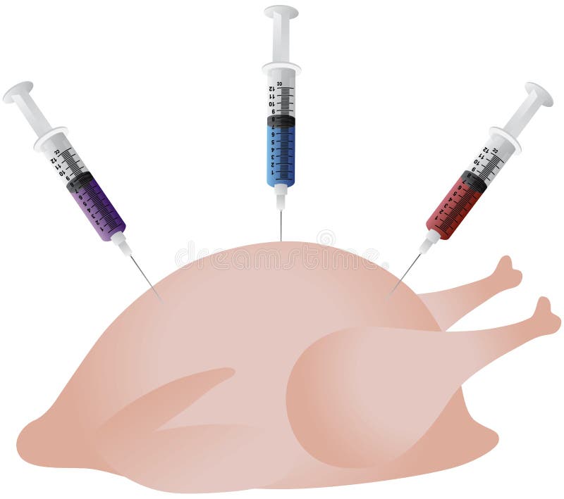 Chicken Injected With Hormones And Steroids Stock Vector Illustration
