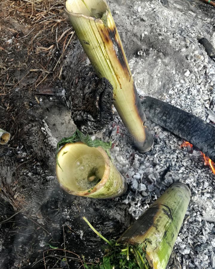 Chicken Inside Bamboo are Grilled with Flame for Camping Cooking Method ...