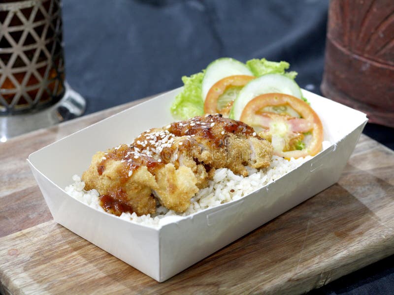 Chicken Katsu with Steam Rice Stock Photo - Image of japan, container ...