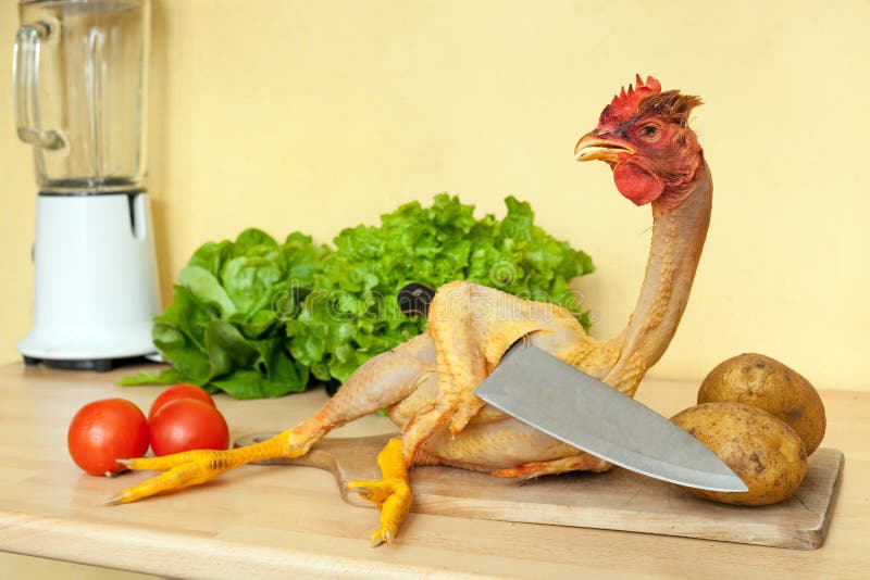 Chicken with knife stock image. Image of potato, bird - 13204189